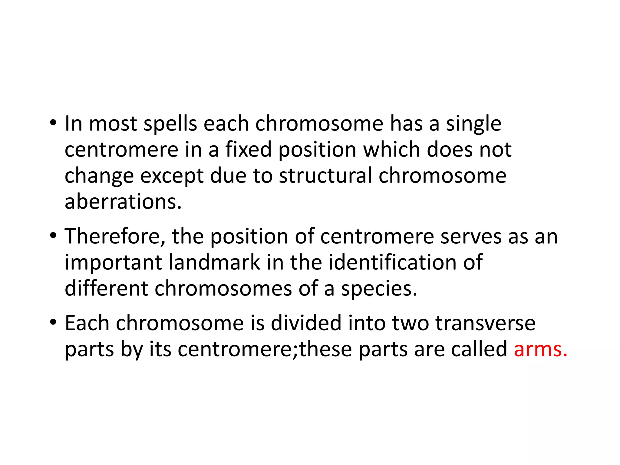Morphology of Chromosomes | PPTX