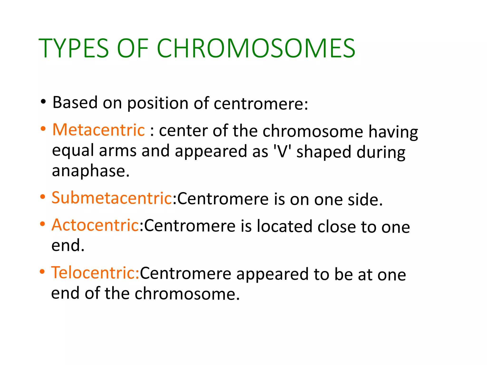 Morphology of Chromosomes | PPTX