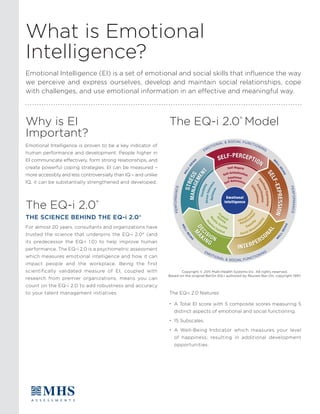 EQ-i full suite of reports | PDF