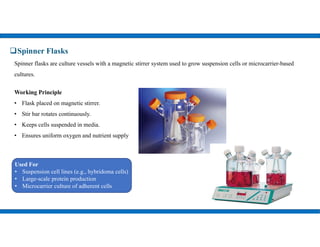 Comprehensive Overview of Cell Culture Techniques and Laboratory ...