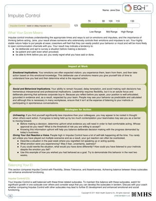 EQ-i Sample Workplace Report | PDF