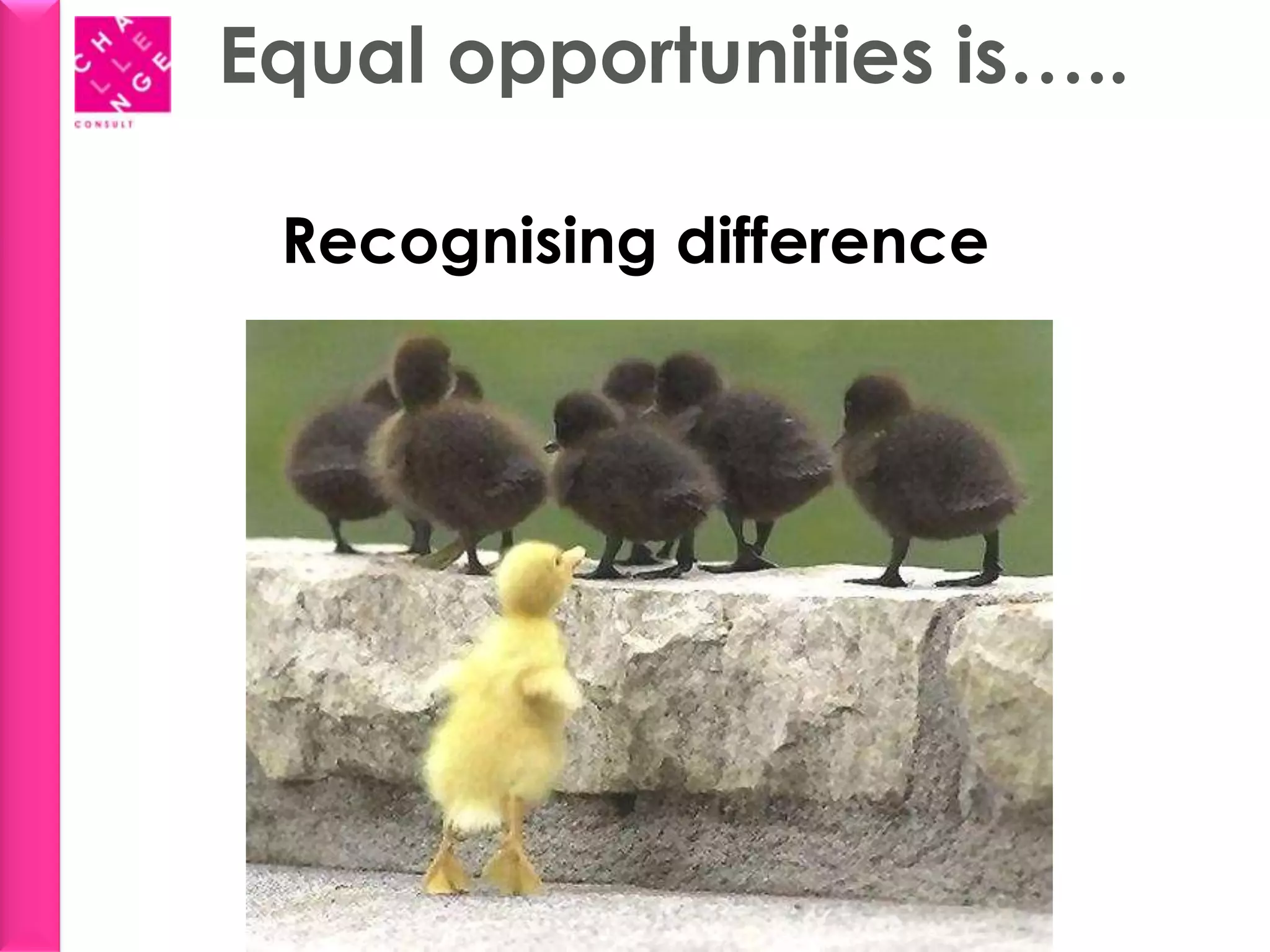 Equality & diversity definitions | PPTX