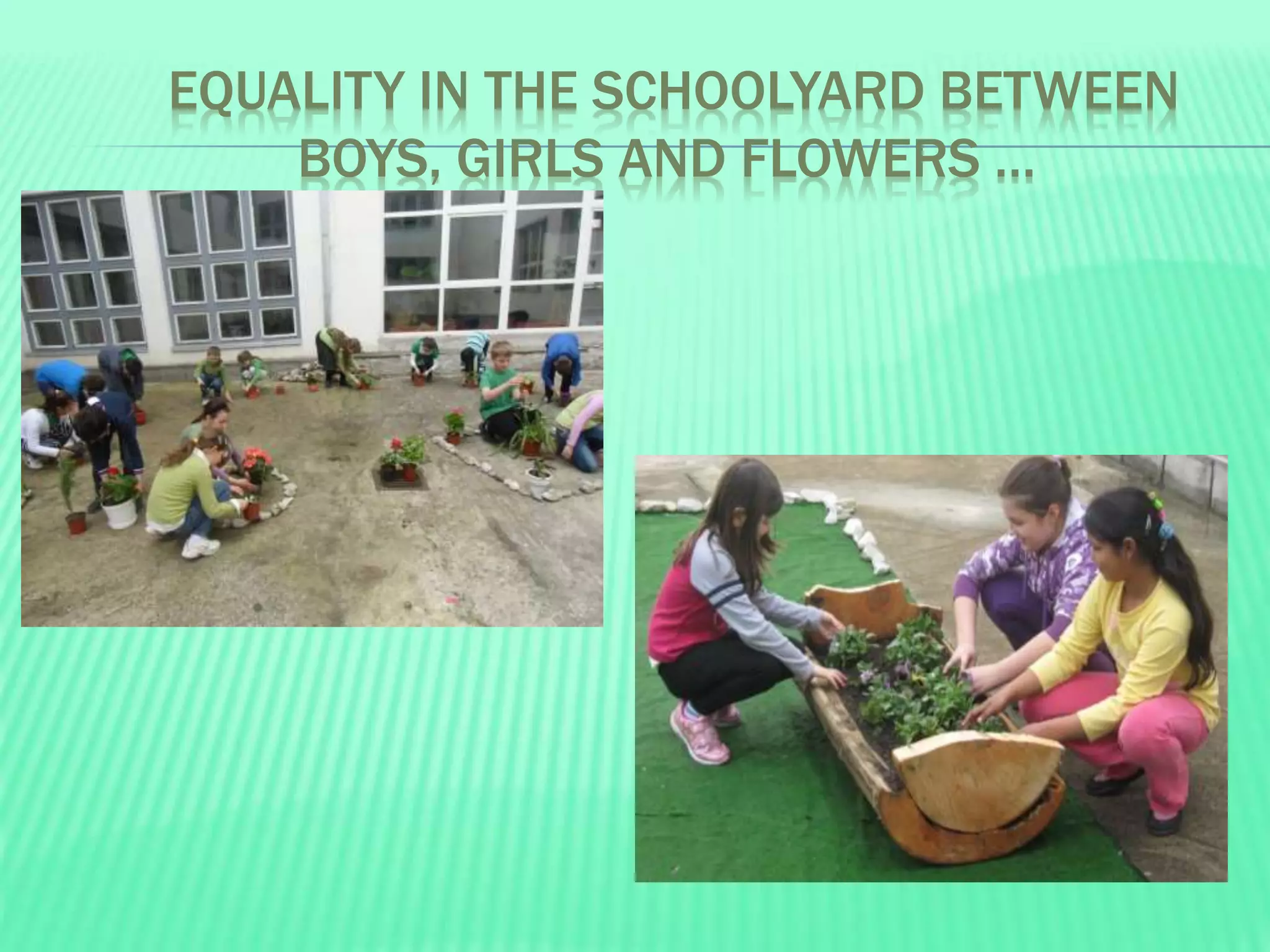 Equality in a clean and healthy environment | PPTX