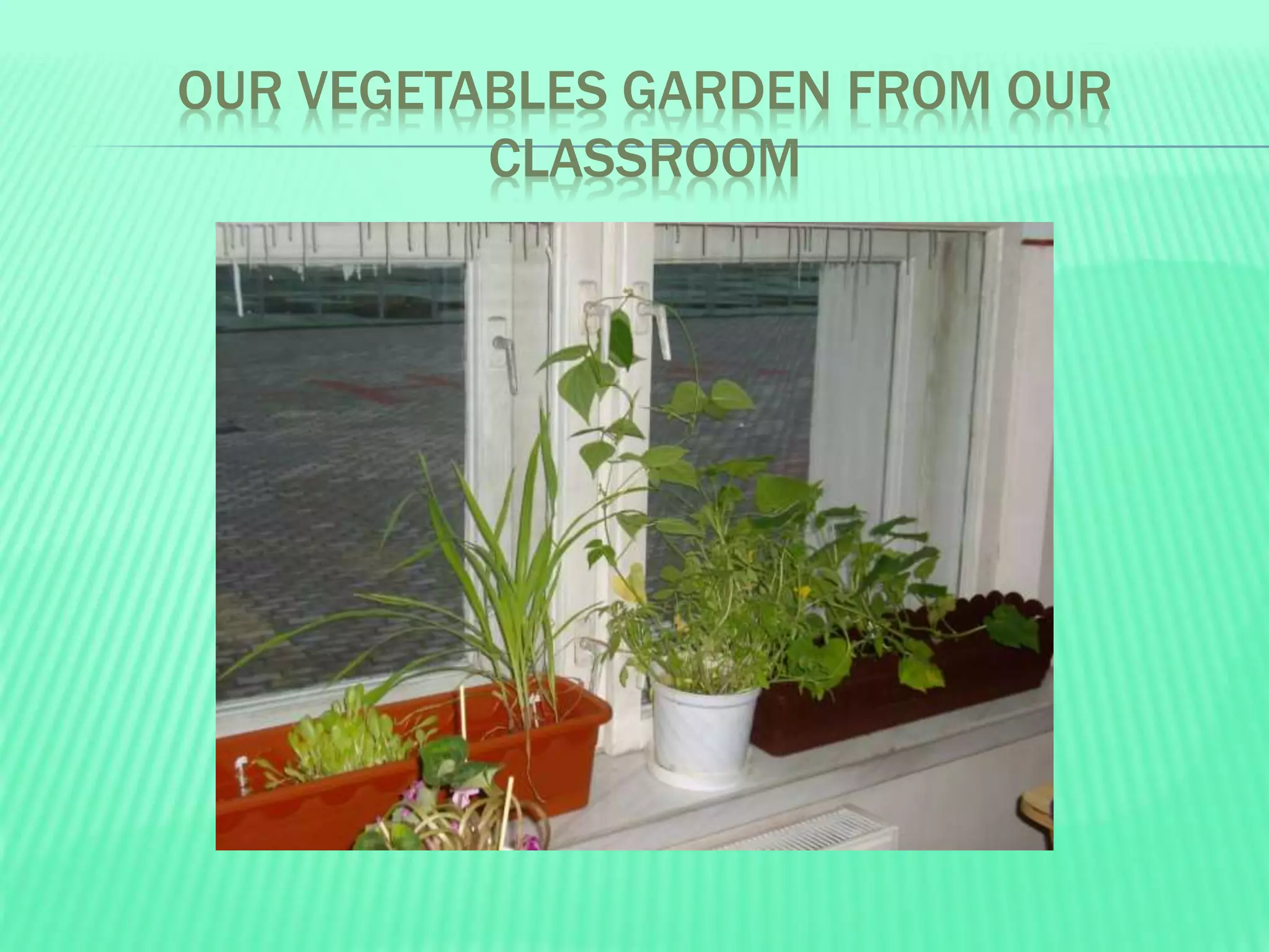 Equality in a clean and healthy environment | PPTX