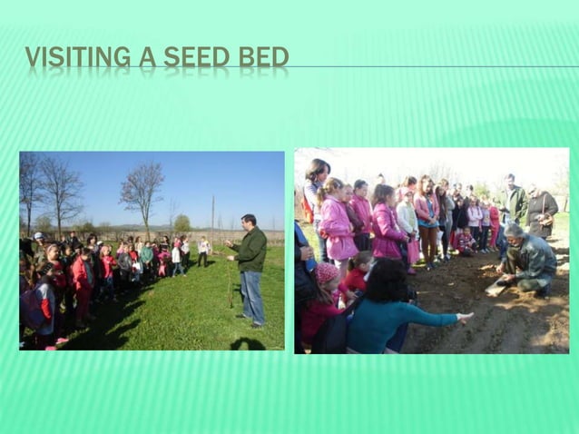 Equality in a clean and healthy environment | PPTX