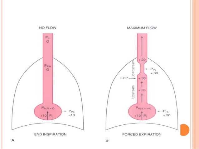 Equal pressure point