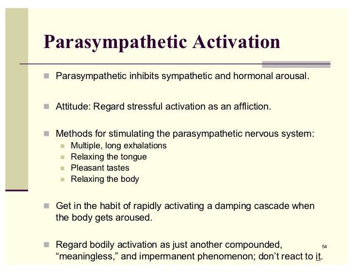 Equanimity - Rick Hanson, PhD