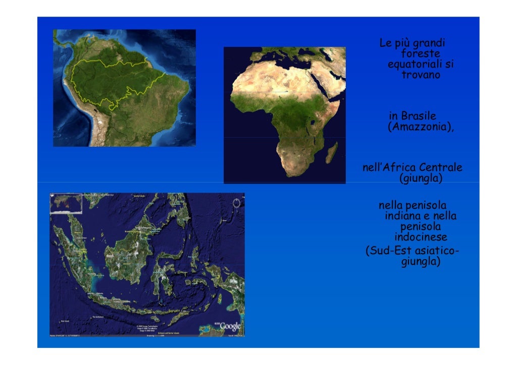 La foresta equatoriale
