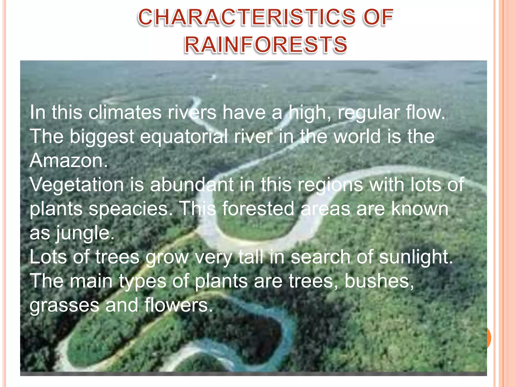 Equatorial climate. rainforests | PPTX