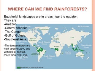 Equatorial climate. rainforests | PPTX