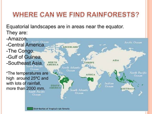 Equatorial climate. rainforests | PPTX | Geography | Science