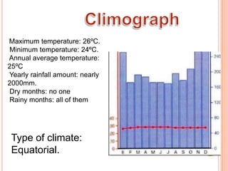 Equatorial climate. rainforests | PPTX