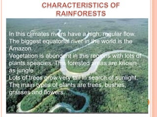 Equatorial climate. rainforests | PPTX