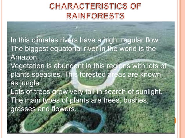 Equatorial climate. rainforests | PPTX | Geography | Science