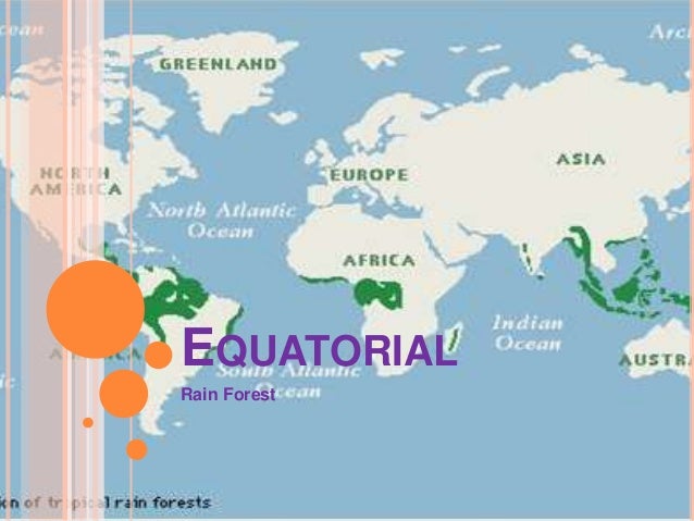 Equatorial Climate Rainfall