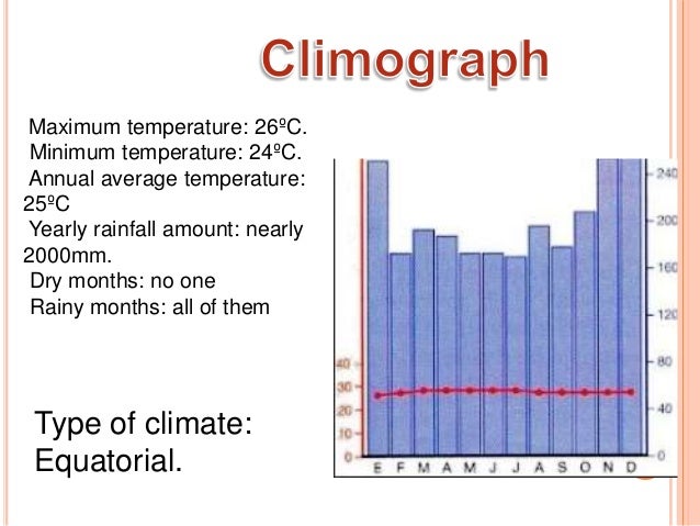 Equatorial Climate Rainfall