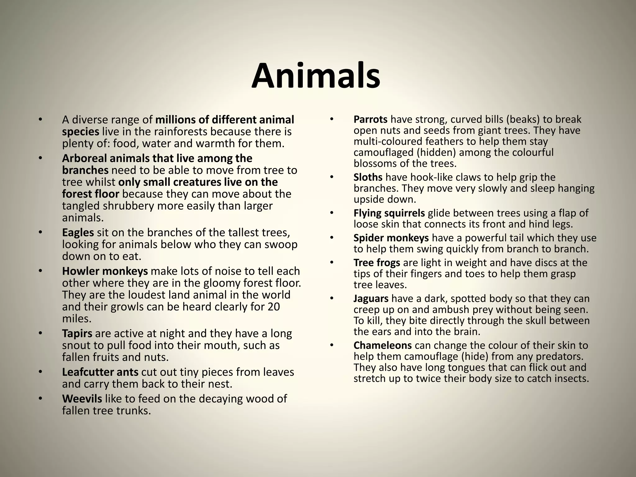 Equatorial region | PPTX