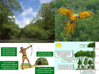 Equatorial region | PPT