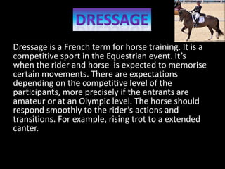 Equestrian | PPTX | Equine Sports | Sports