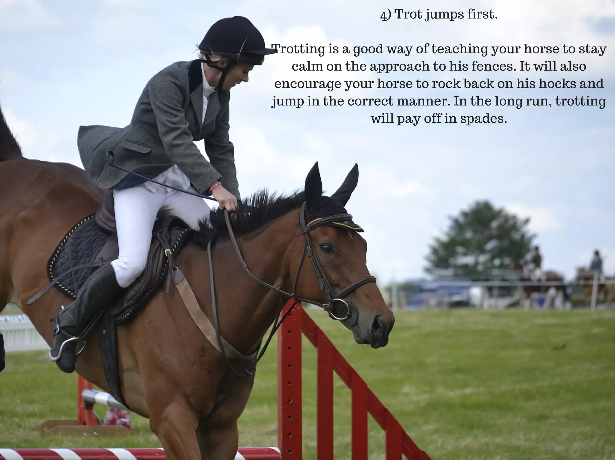 Equestrian Jumping: 6 Basic Tips for Beginnners | PDF