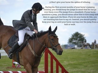 Equestrian Jumping: 6 Basic Tips for Beginnners | PPT