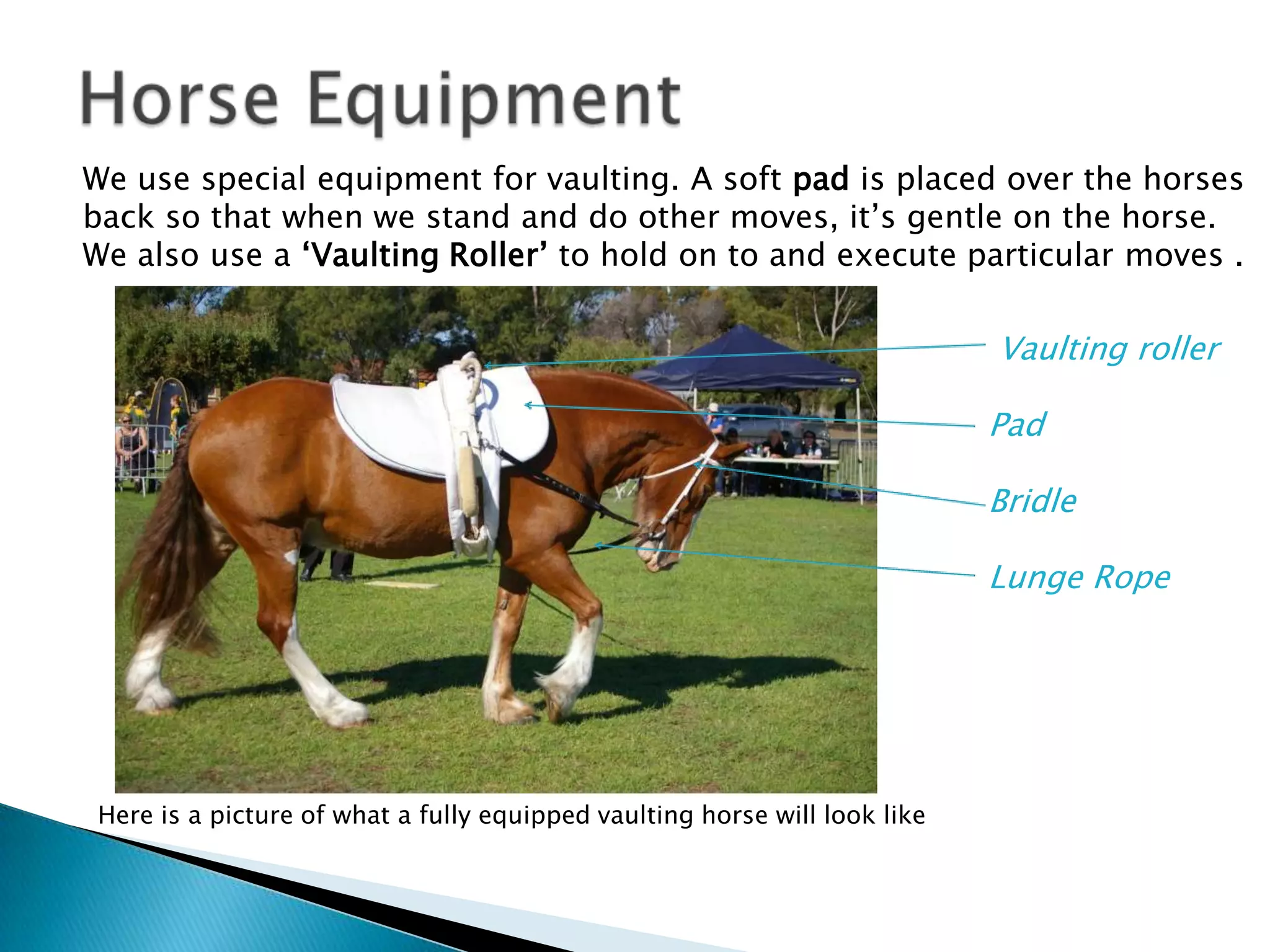 Equestrian Vaulting | PPTX