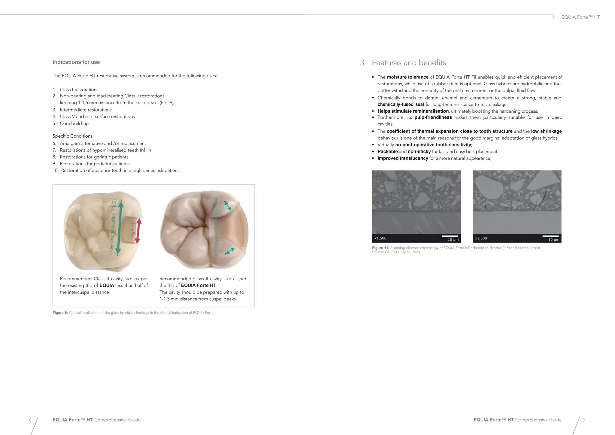 equia-forte-ht-comprehensive-guide.pdf