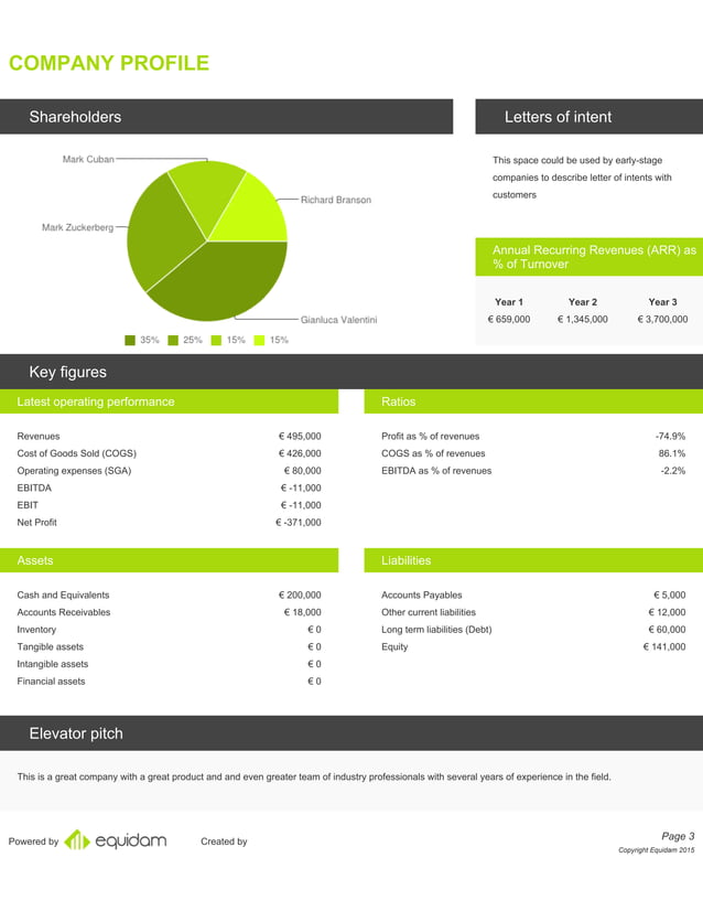 Company valuation report sample