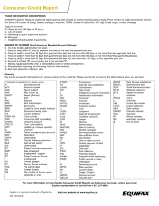 Equifax (automated credit report user guide) | PDF