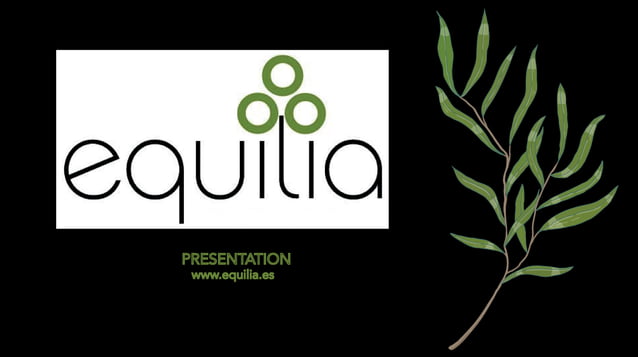 EQUILIA - our services | PPT