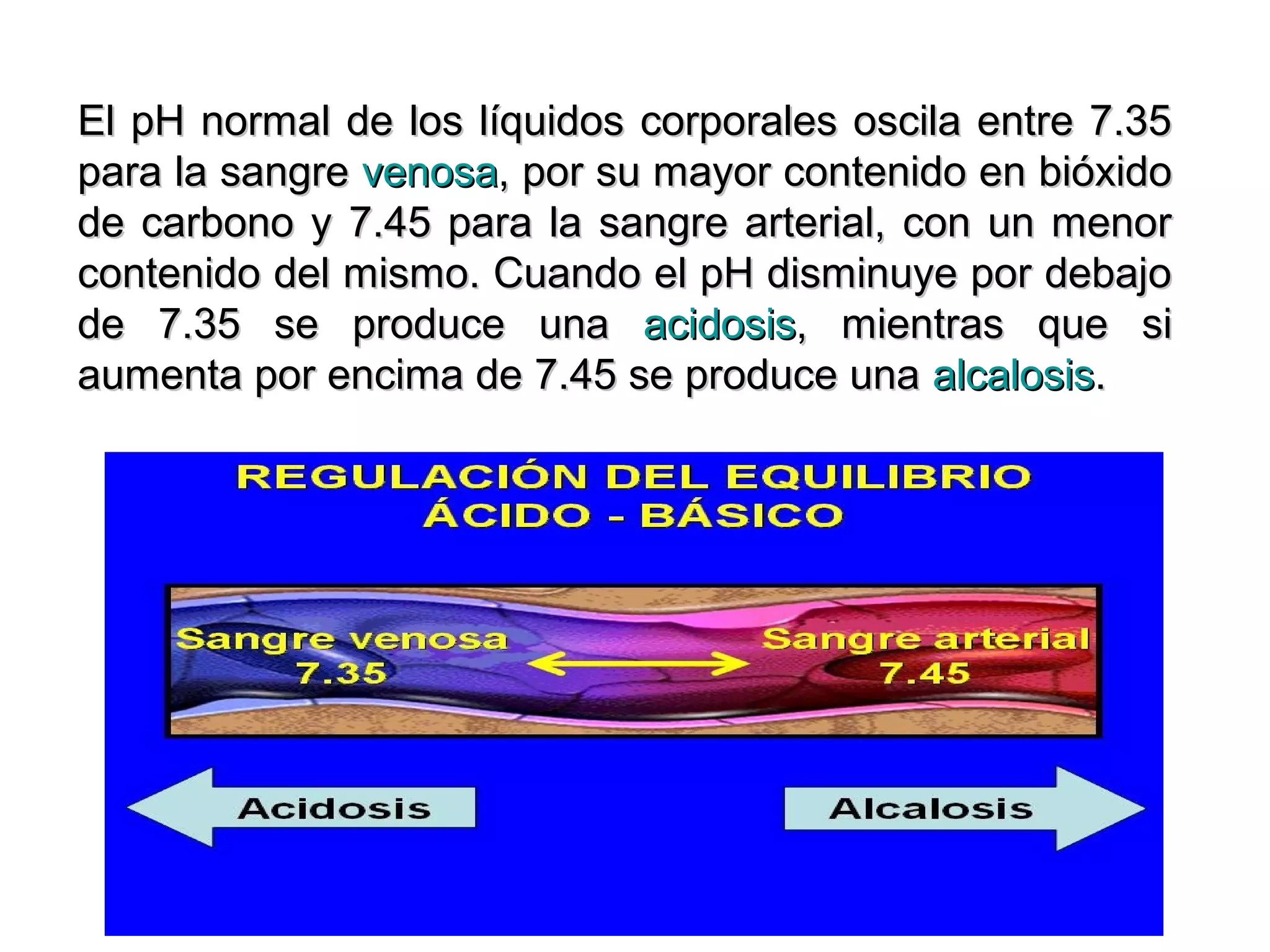 Equilibrio acido-base | PPT | Lung and Respiratory Health | Diseases ...