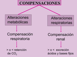 Equilibrio acido-base | PPT