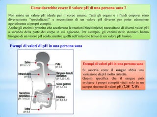 Equilibrio acido base | PPTX