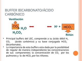 EQUILIBRIO ACIDO BASE SISTEMAS BUFFER .. | PPTX