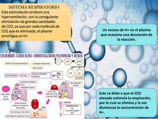 Equilibrio acido basico y sus patologias.ppt