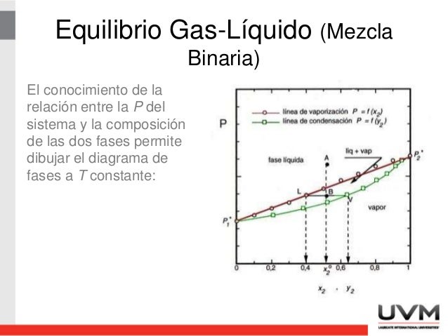 Equilibrio de Fases: Líquido-Vapor