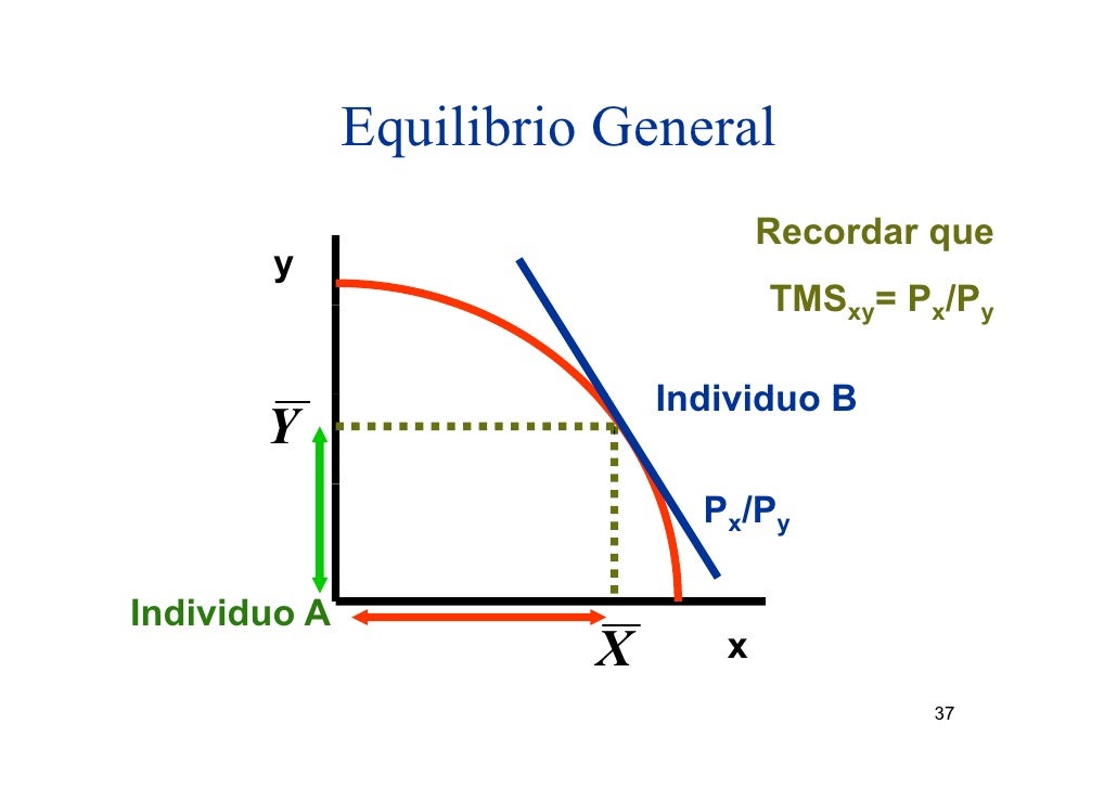 Equilibrio general Introduccion Parte 1