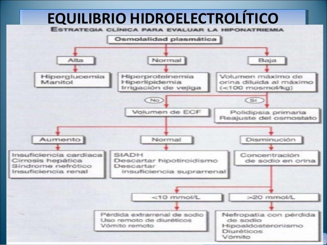 Equilibrio hidroelectrolitico