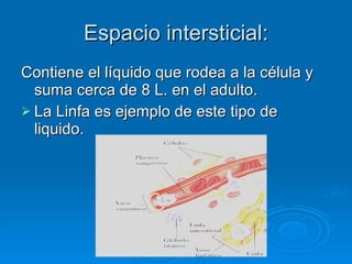 Equilibrios y desequilibrios de liquidos | PPT