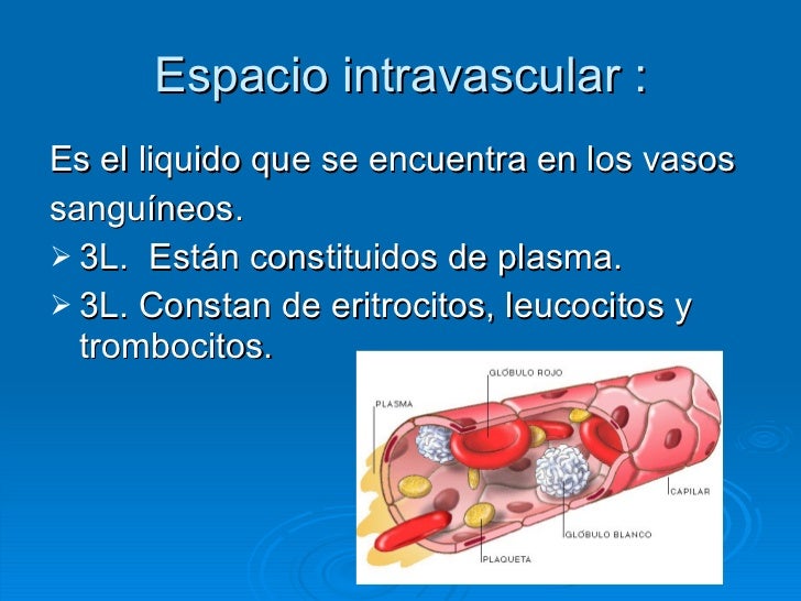 Equilibrios y desequilibrios de liquidos