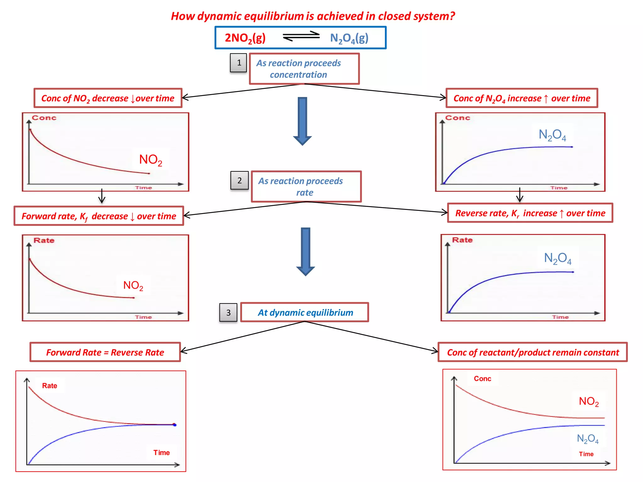 IB Chemistry on Dynamic Equilibrium and Equilibrium Constant | PDF