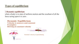 Equilibrium ppt1 | PPTX