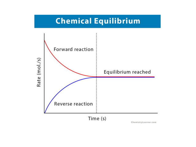 Equilibrium Unit 4 Pptx
