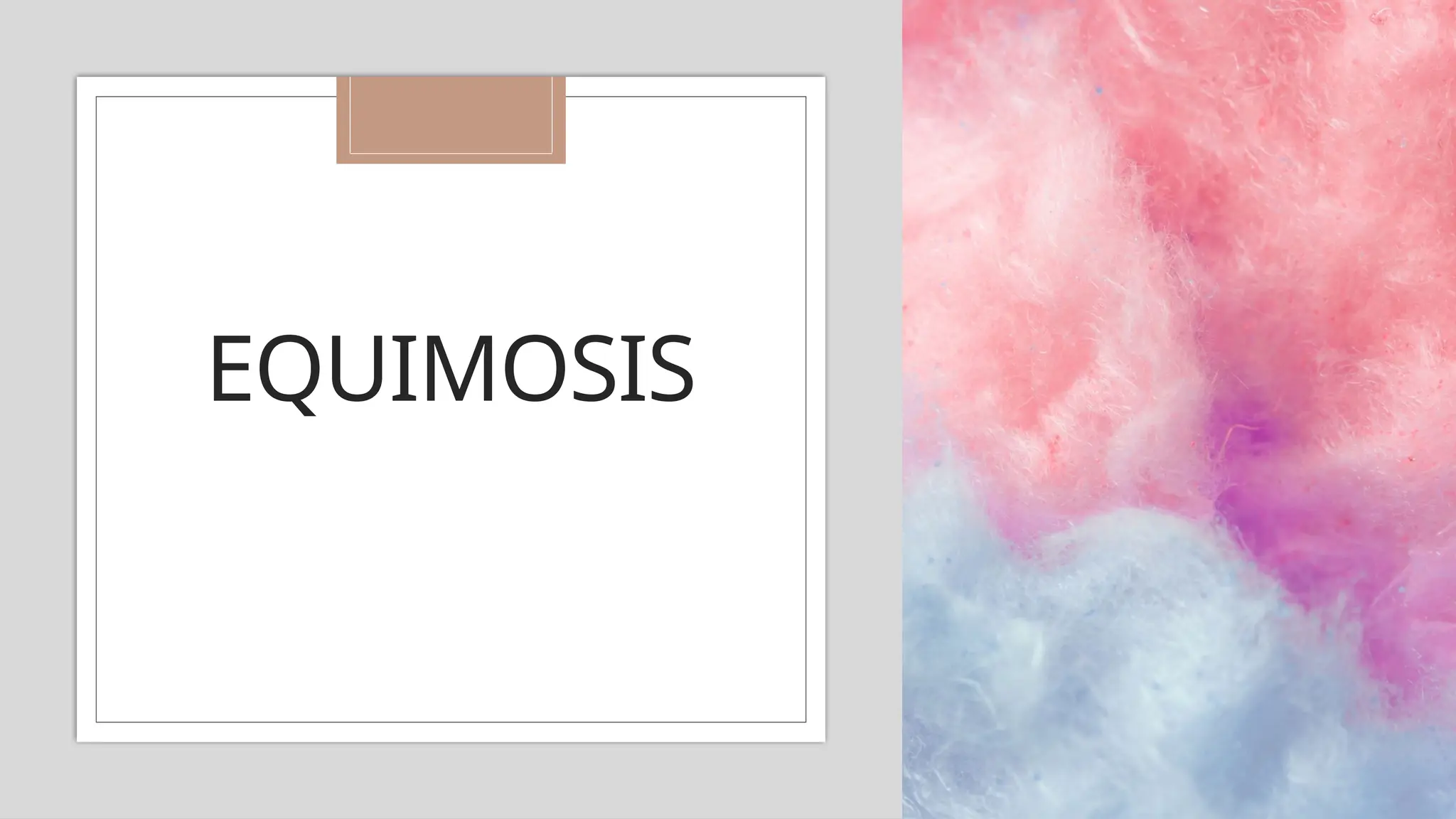 equimosis metabolismo y su temporalidad .pptx