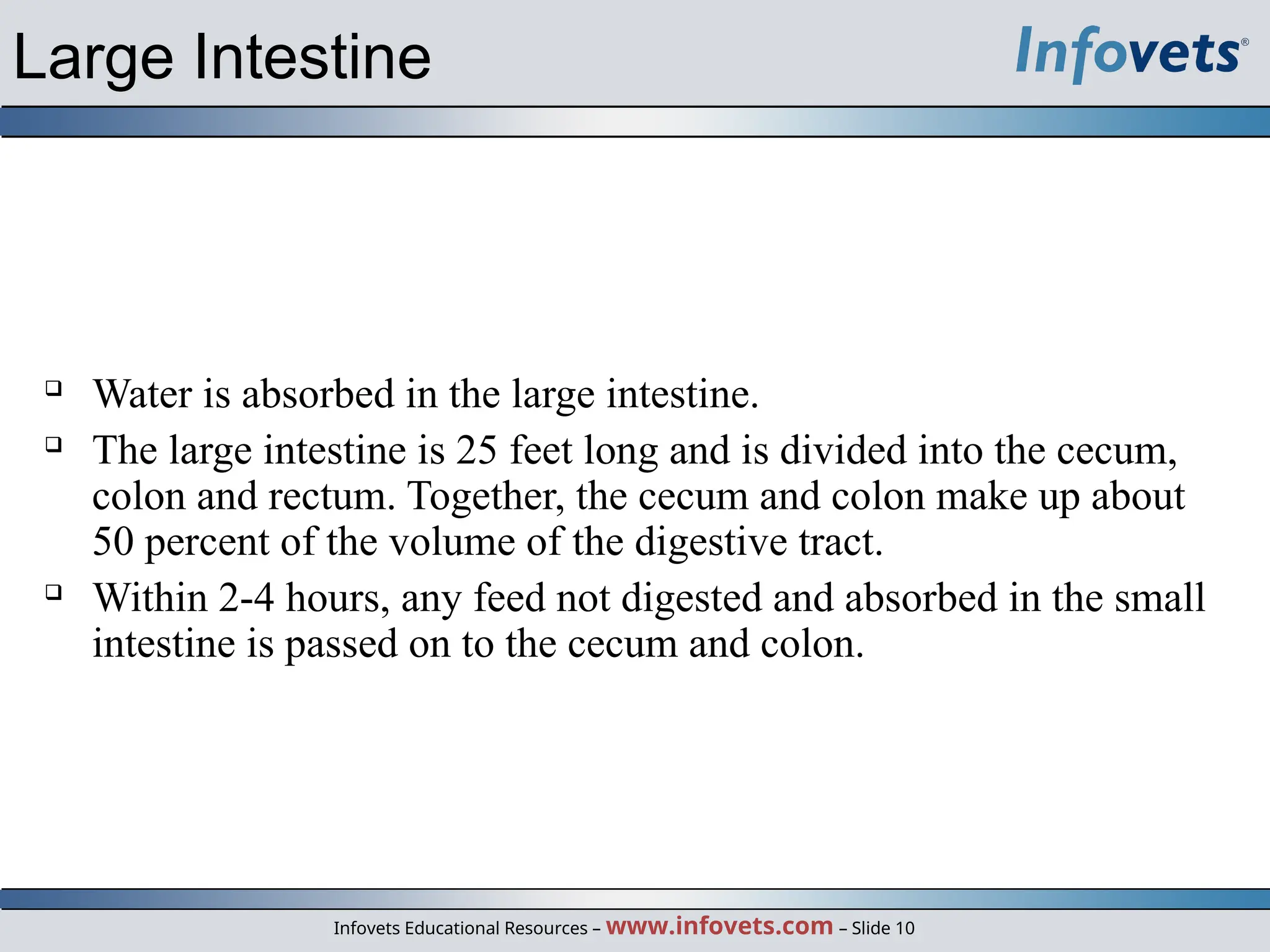 Equine-Digestion-Physiology of horse.ppt
