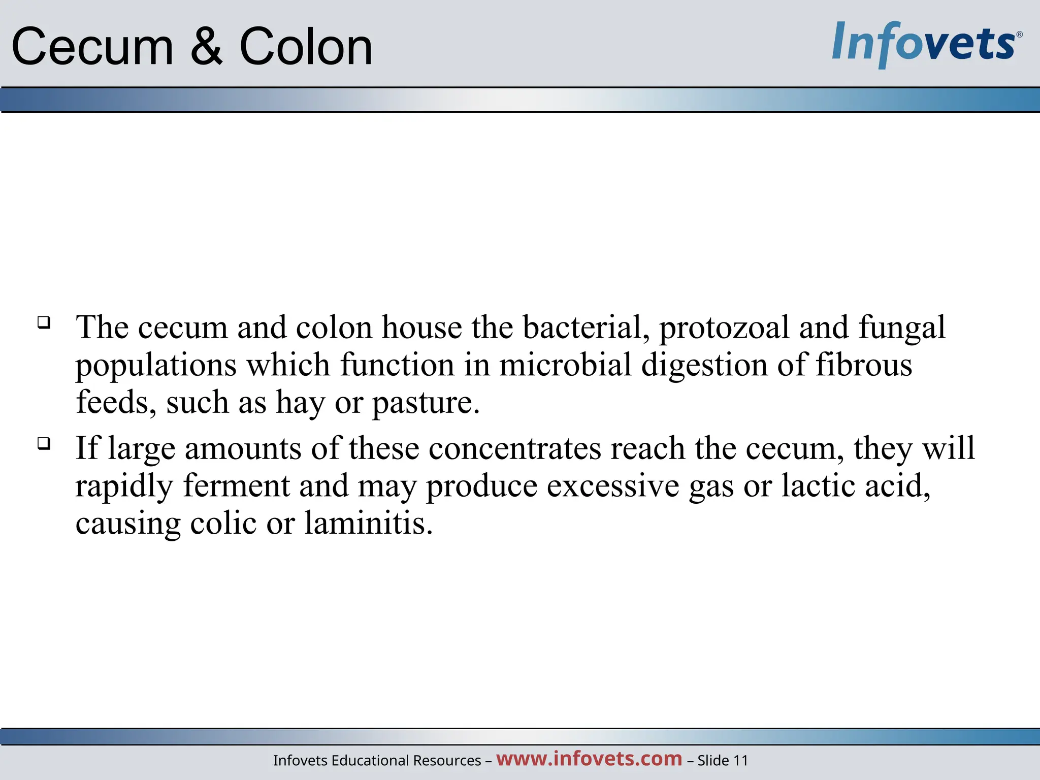 Equine-Digestion-Physiology of horse.ppt