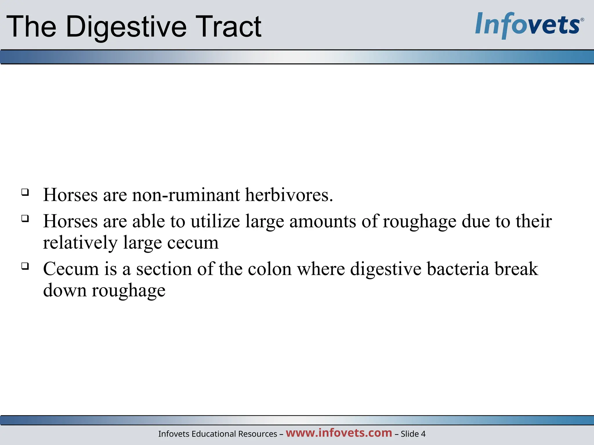 Equine-Digestion-Physiology of horse.ppt