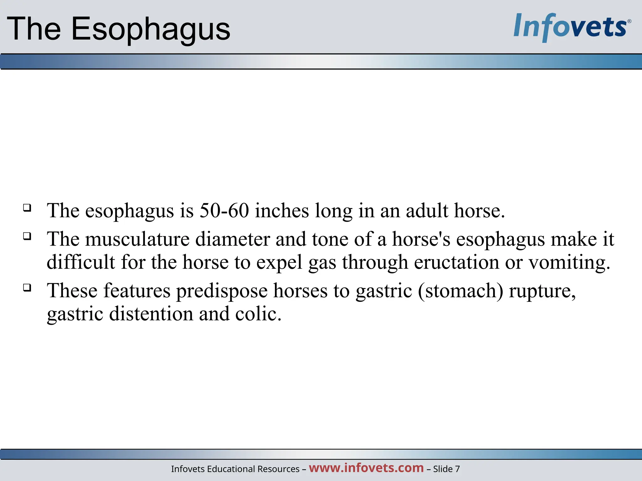 Equine-Digestion-Physiology of horse.ppt