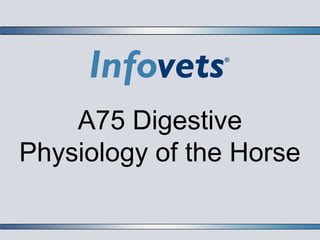 Equine-Digestion-Physiology of horse.ppt