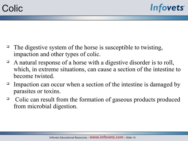 Equine-Digestion-Physiology of horse.ppt | Digestive Disorders ...
